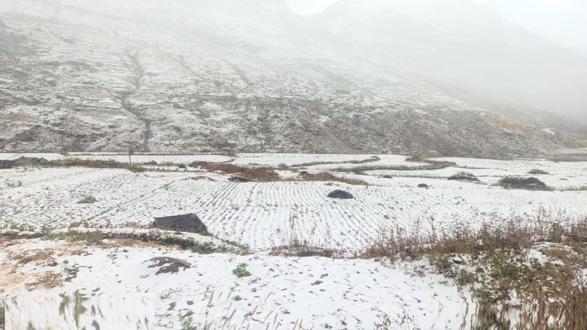 Himachal Weather Update, Hailstorm In Chandra Valley, Light Snowfall On High Peaks - Amar Ujala ...