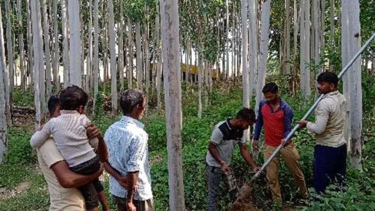 Etah Village Tulai Electrified This Diwali 2022 After 75 Years Of ...