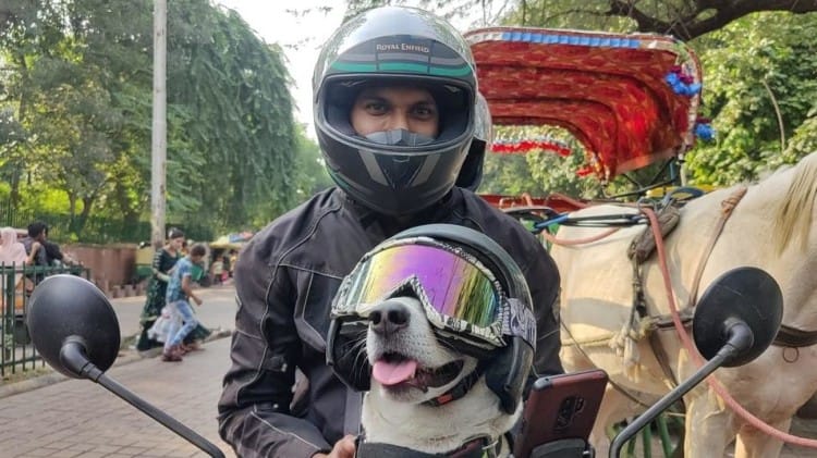 Malayalam Actor Akshay Made Amazing Helmet For Dog See Taj Mahal - Amar ...