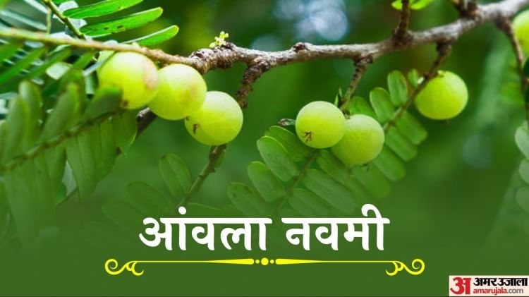 Amla Navami 2023:आंवला नवमी आज, जानिए आंवला वृक्ष के पूजन का महत्व ...
