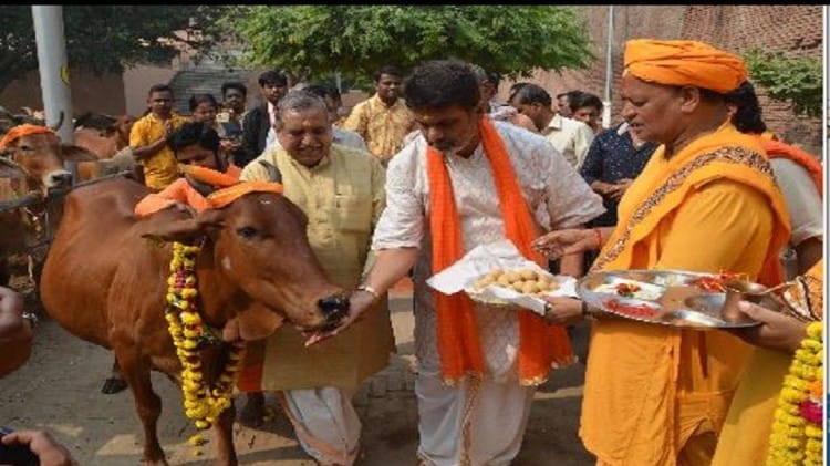 Gopashtami 2022:मथुरा में गोपाष्टमी की धूम, फूलन के बाजू वंद, फूलन की ...