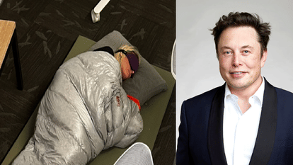 Twitter Is The Most Interesting Place On Internet Said Elon Musk ...