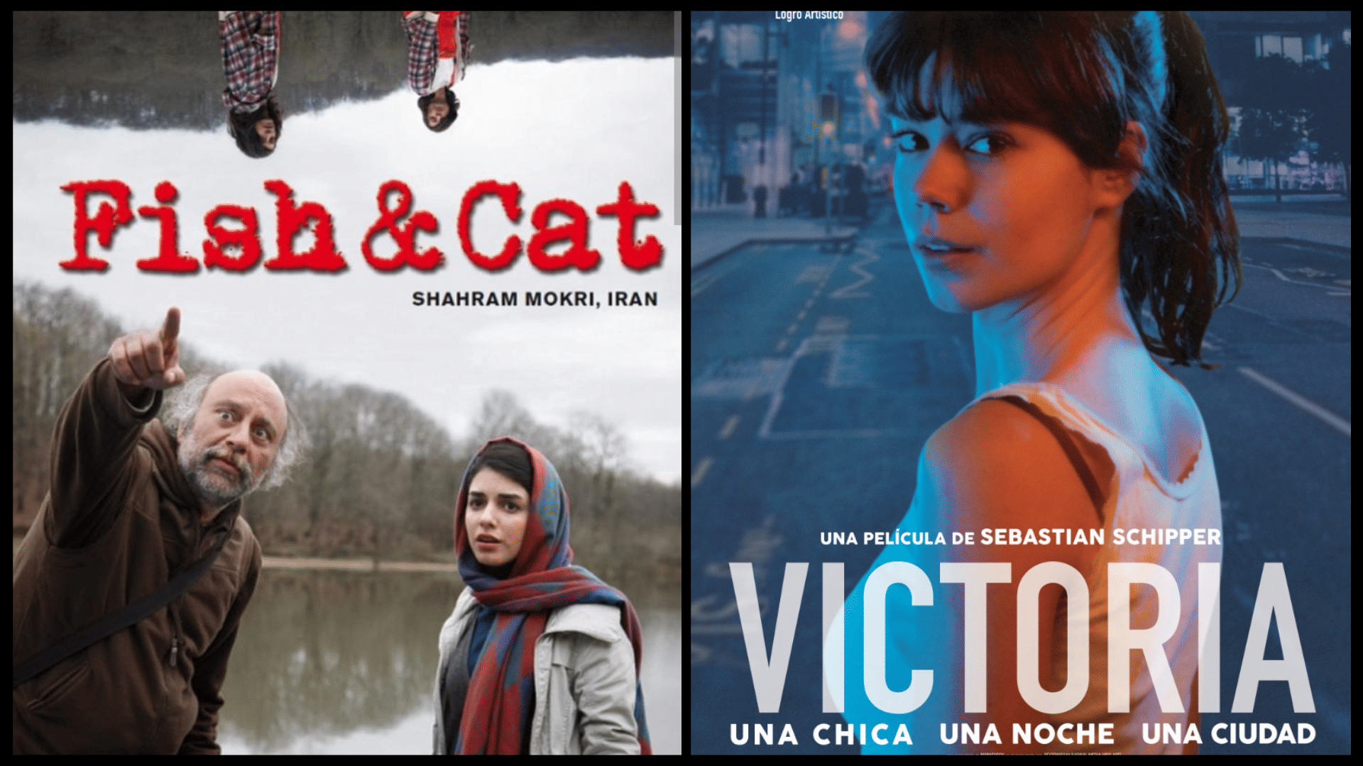 10 One Take Films Silent House fish & Cat birdman son Of Saul victoria ...