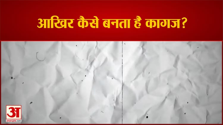 आखिर कैसे बनता है कागज? - How Is A Paper Made? - Amar Ujala Hindi News Live