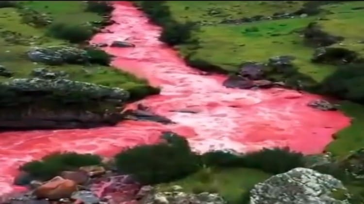 Red River:इस देश में बहती है रहस्यमयी नदी! पानी का रंग है खून की तरह ...