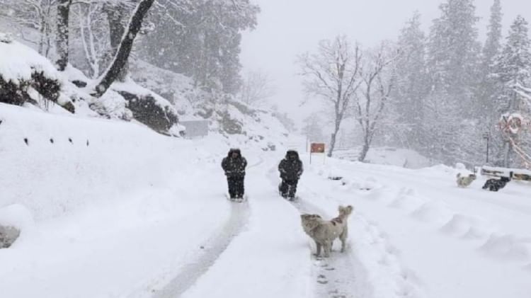 Himachal Weather, First Snowfall Of The Season In Five Tourist Places ...