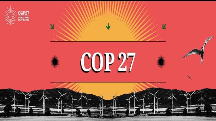 Cop27, Un Climate Change Conference In Egypt Adopts Loss And Damage ...