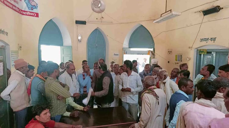 Jalaun:मवेशियों ने रौंदी 50 बीघा फसल, किसानों का हंगामा, नगर पंचायत ...