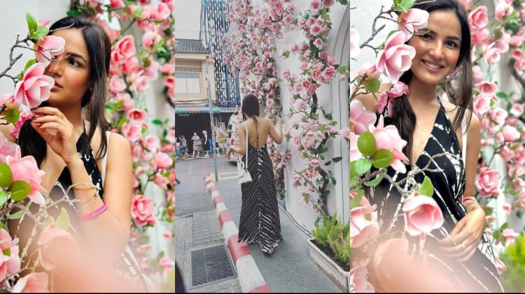 Photos Of The Day:डीप नेक ब्लाउज में शमा ने गिराई बिजलियां और सपना का ...