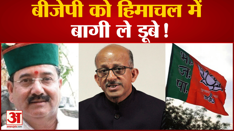 Himachal Election: Rebels Also Responsible For Bjp's Defeat In Himachal, Had To Give Ticket To ...