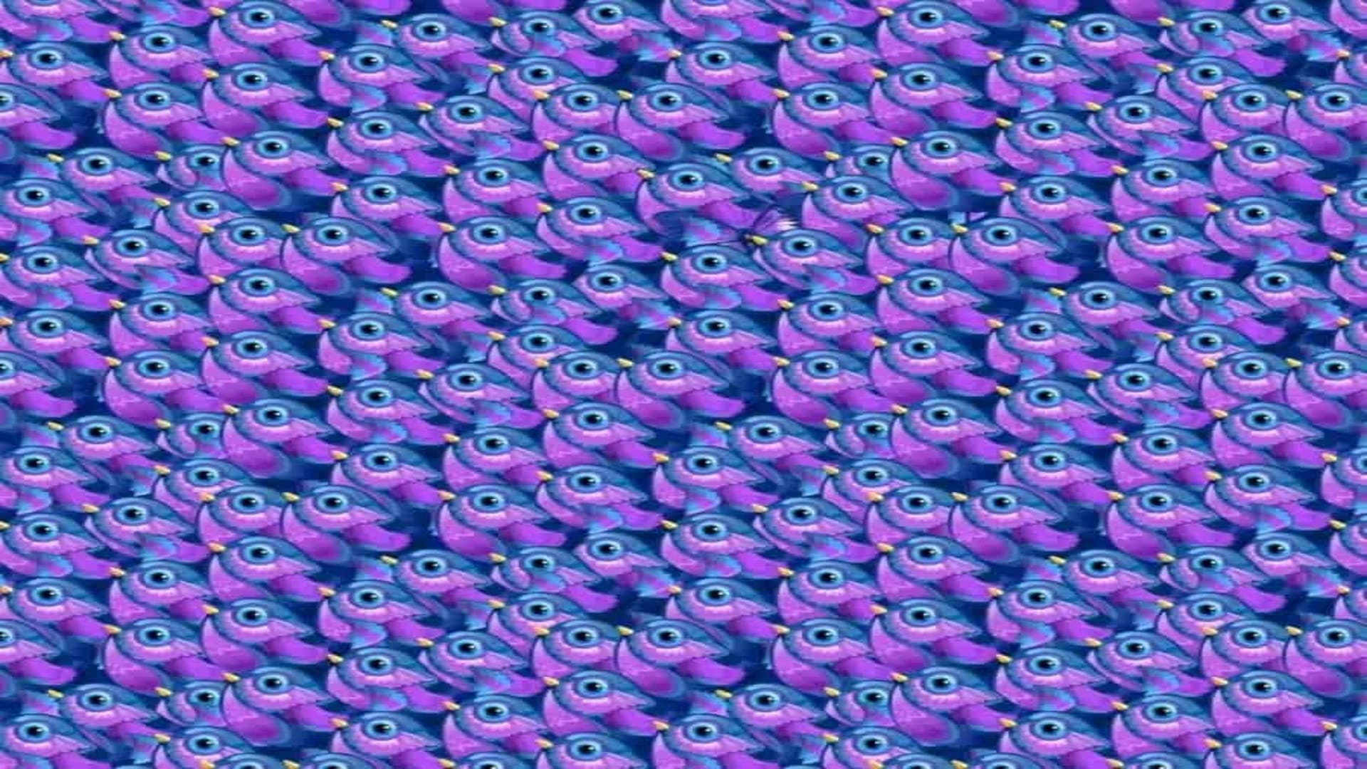 Find A Hidden Butterfly In This Viral Optical Illusion Picture Within ...