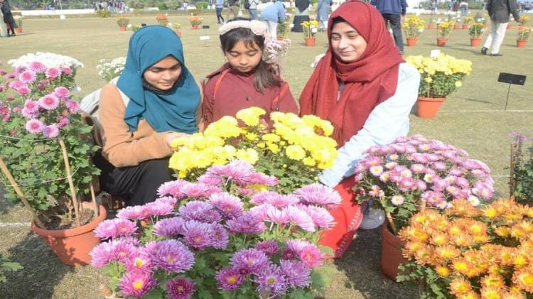 Gul-e-daudi Coleus And Rose Flower Exhibition Organized In Amu - Amar ...