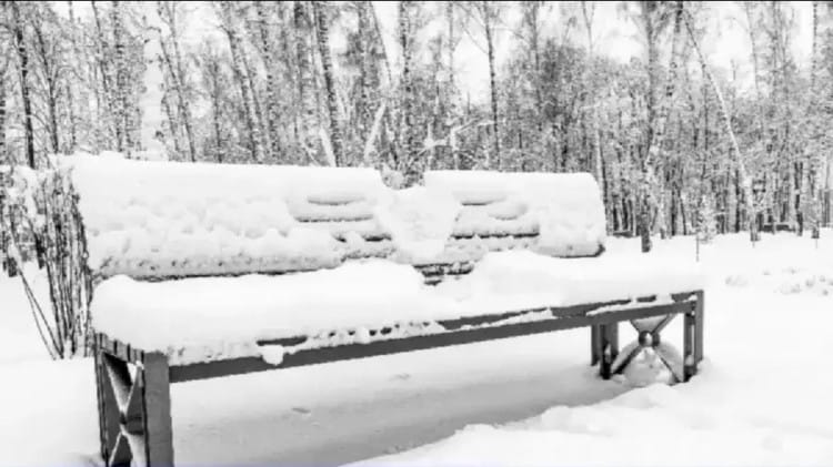 Optical Illusion: Spot The Hidden Rabbit In Picture In 20 Seconds Check ...