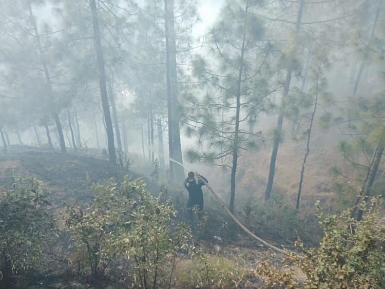 Fire At Graveyard Forest - Almora News - Almora News:ग्रेवयार्ड के जंगल ...