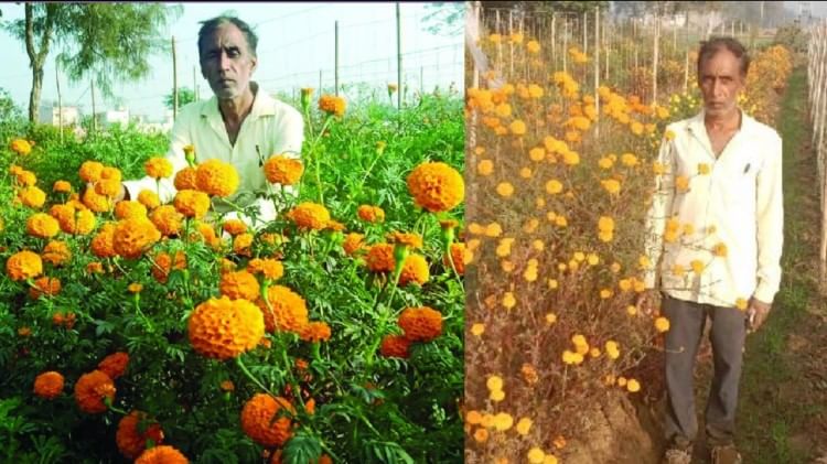 Farmer Bhoop Singh Saini Of Hisar Left Traditional Farming And Start ...