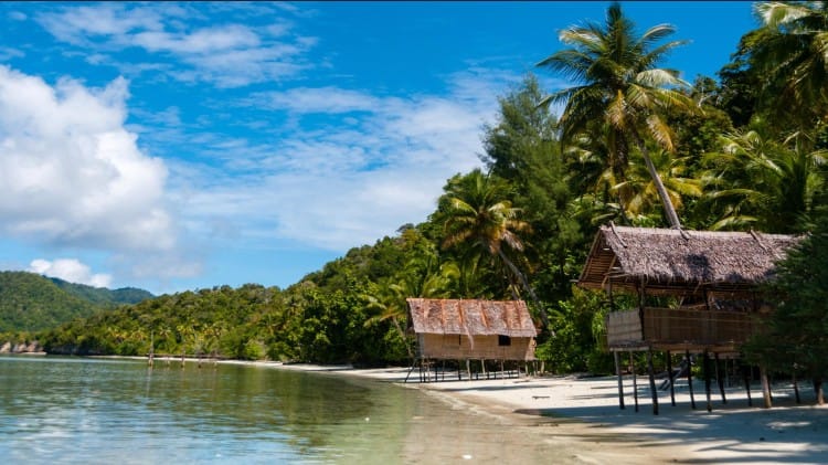 Fore Tribe:इस जनजाति के लोग खाते हैं इंसानों का दिमाग, अंतिम संस्कार के ...