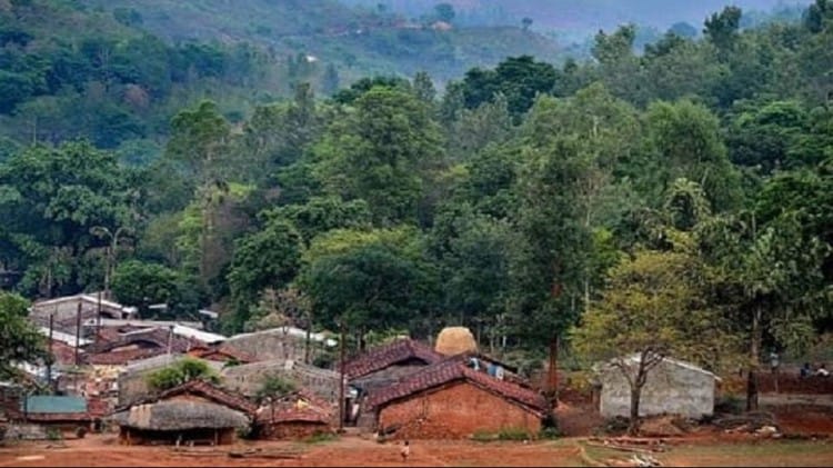 Assam:लखीमपुर में 450 हेक्टेयर वन भूमि को खाली कराने का अभियान शुरू ...