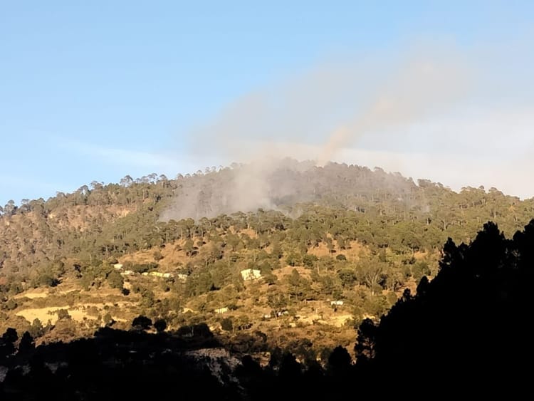 Fire In Syalde Forest - Almora News - Almora News:स्याल्दे में दो दिनों ...