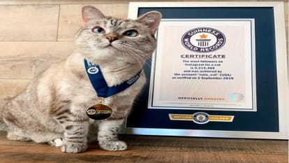 World’s Most Expensive Animals List Know Interesting Facts About ...