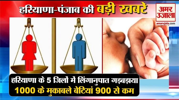 हरियाणा के 5 जिलों में लिंगानुपात गड़बड़ाया1000 के मुकाबले बेटियां 900 से कम समेत हरियाणा की
