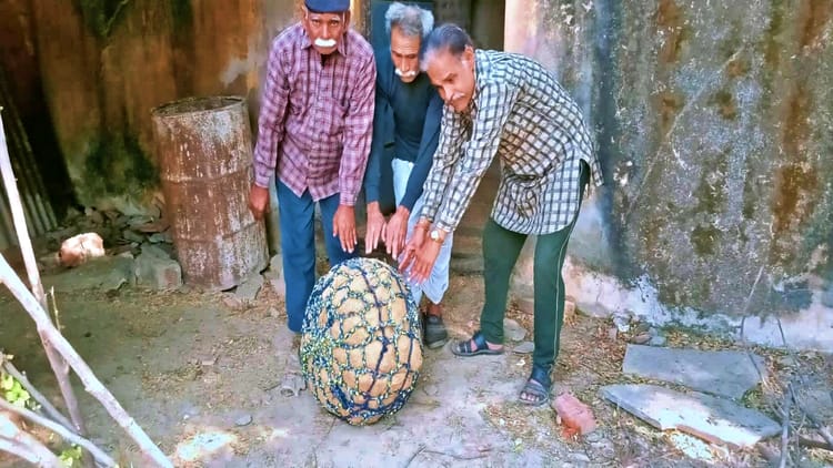 Tonk:पांच हजार खिलाड़ी धकेलेंगे 60 किलो का दड़ा, आवां कस्बे में आज खेला ...