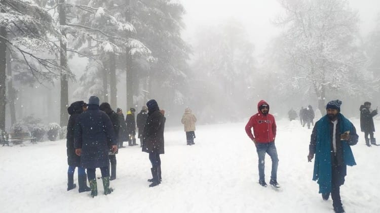 Snowfall In Patnitop:पटनीटॉप और नत्थाटॉप में हिमपात, बर्फबारी में ...