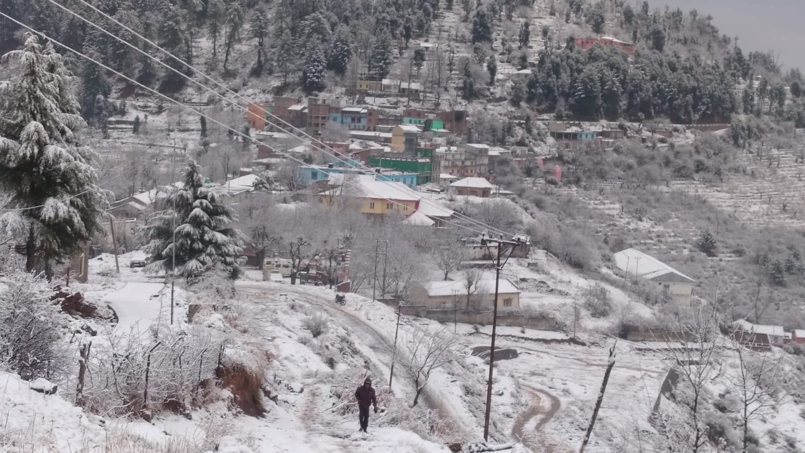 Snowfall In Patnitop:पटनीटॉप और नत्थाटॉप में हिमपात, बर्फबारी में ...