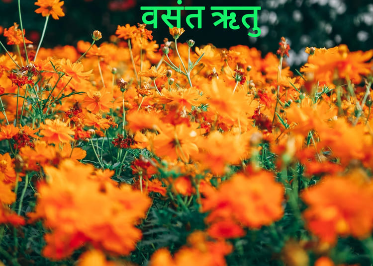 Vasant Panchami 2023: Kunwar Bechain Poem O Vasanti Pawan Hamare Ghar ...