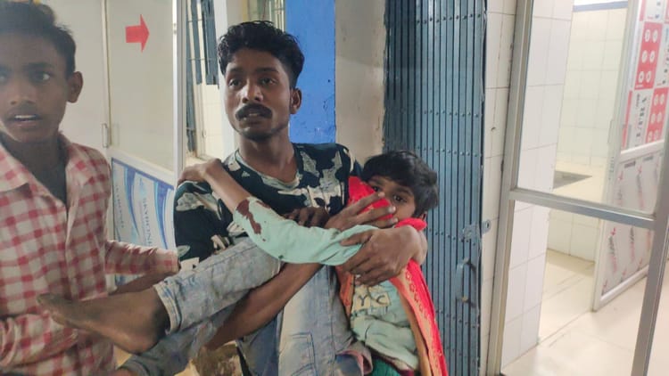 Terror Of Mad Dog Ends In Ara: People Surrounded Killed Last Night ...