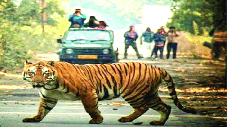 Pilibhit Can Make Its Place In The 50 Developing Tourist Places Of The ...