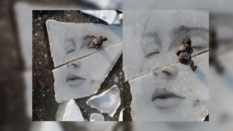 Viral Video: Artist Creating A Portrait On A Ice Float In Southern ...