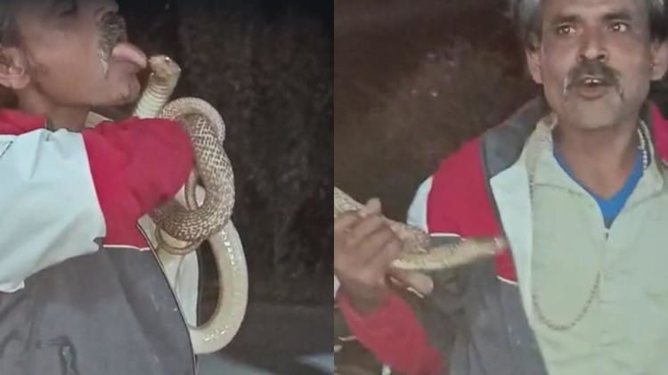 Man Doing Stunt With Snake In Deoria Died After Touching Tongue - Amar ...