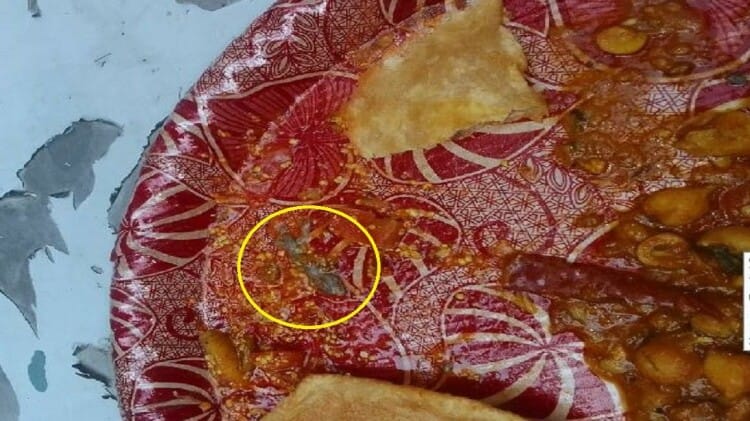 Dead Lizard Found In Pickle During Meal In Ghazipur Six Asha Workers ...