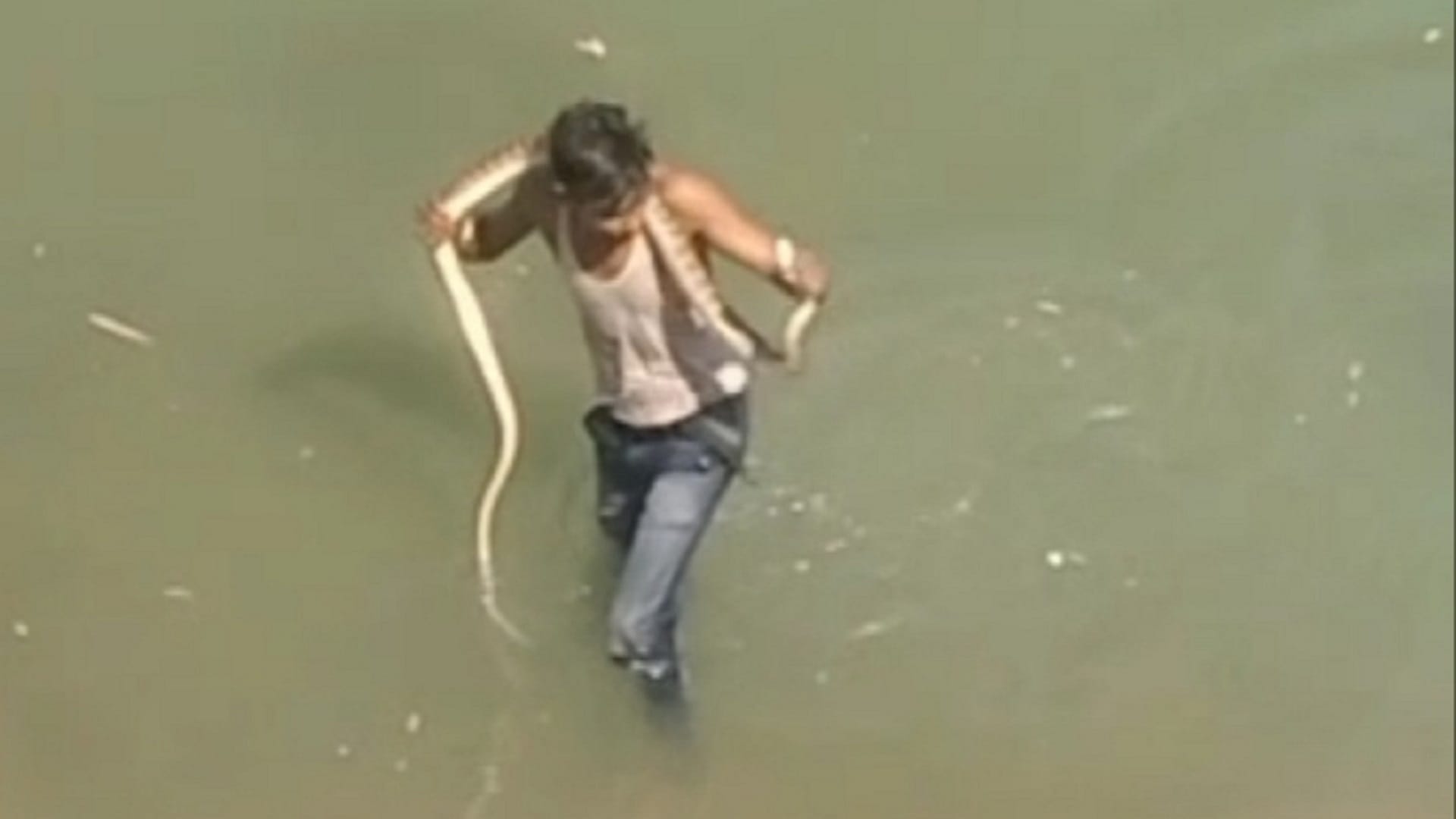 Drunk Man Kept Playing With Snake In Korba, Snake Video Viral - Amar ...