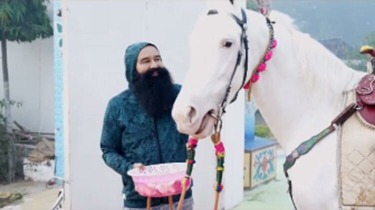 Baghpat:आश्रम में सुकून के पल, अब घोड़े के साथ दौड़ते दिखा गुरमीत राम ...