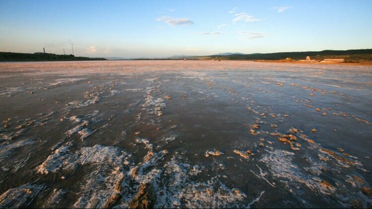 Lake Natron:दुनिया की सबसे खतरनाक झील, पानी में जाते ही पत्थर बन जाते ...