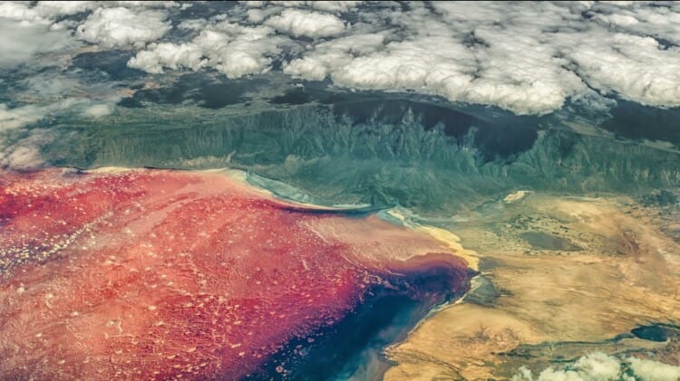 Lake Natron:दुनिया की सबसे खतरनाक झील, पानी में जाते ही पत्थर बन जाते ...