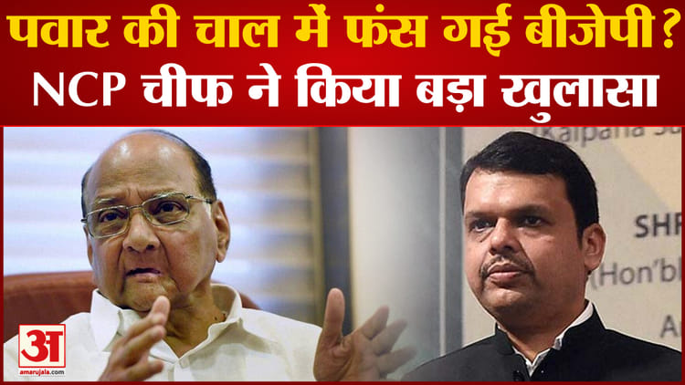 Was Bjp Trapped In Sharad Pawar's Trick? Devendra Fadnavis Said On The Disclosure Of Ncp Chief ...