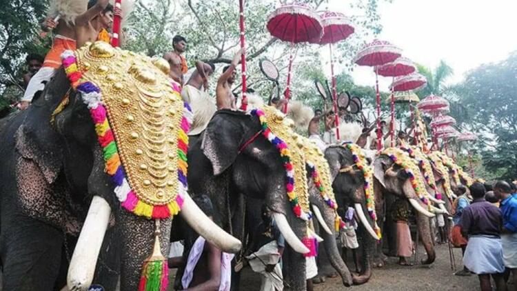 Kerala Thrissur Temple Used Robotic Elephant First Time For Performing ...