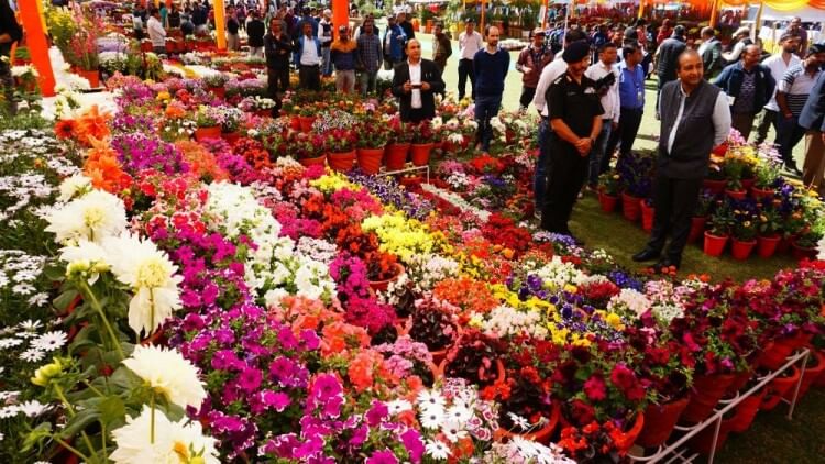 Vasantotsav 2023 In Uttarakhand Raj Bhavan Flower Exhibition Amazing ...
