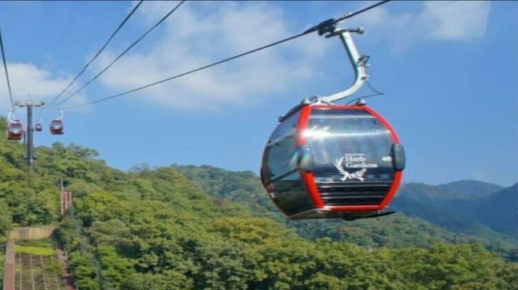 900 Meter Ropeway Will Be Built On The Mountain Of Dhosi, The Abode Of ...