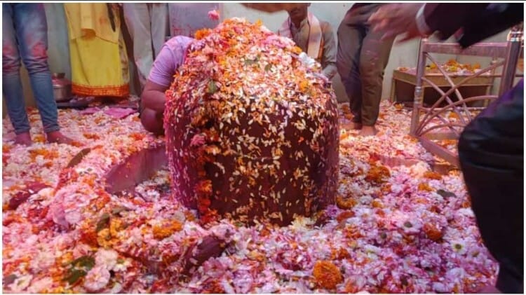 Thousands Of Devotees Reached Damoh Bandakpur Dham Played Holi Of ...