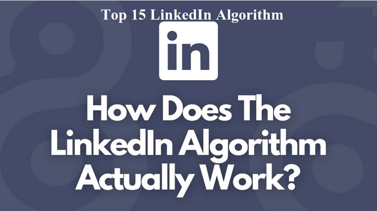 These Are The Top 15 Linkedin Algorithms That Will Make Your Content Viral Know The Whole Thing