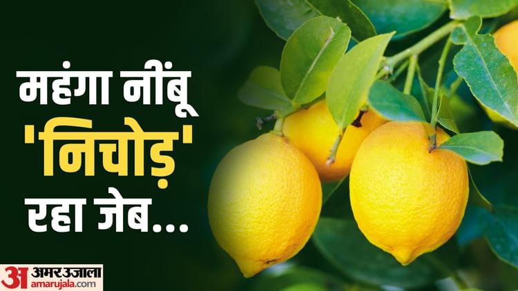 As The Summer Starts Price Of Lemon Rises It Is Being Sold At Rs 200 ...