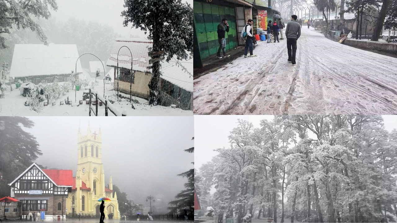 Himachal Weather Update, Heavy Rainfall In Shimla, Snowfall In High Altitude Areas, Hailstorm In ...