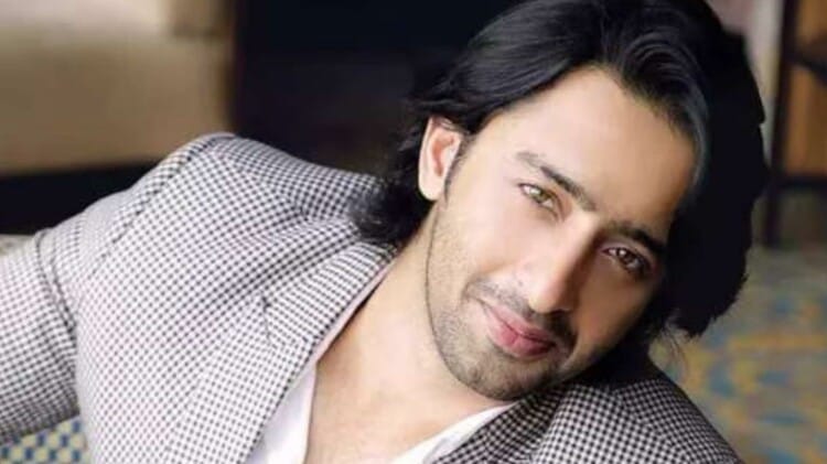 Shaheer Sheikh Birthday:छोटे पर्दे के शहीर शेख ने हासिल किया बड़ा मुकाम ...