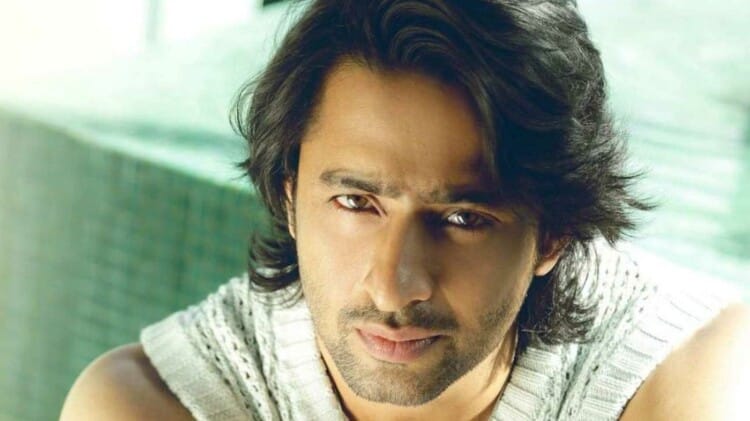 Shaheer Sheikh Birthday:छोटे पर्दे के शहीर शेख ने हासिल किया बड़ा मुकाम ...