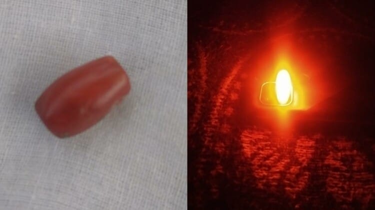 Gem Of Historical Importance Found From Karnakot Tila Fatehabad - Amar ...