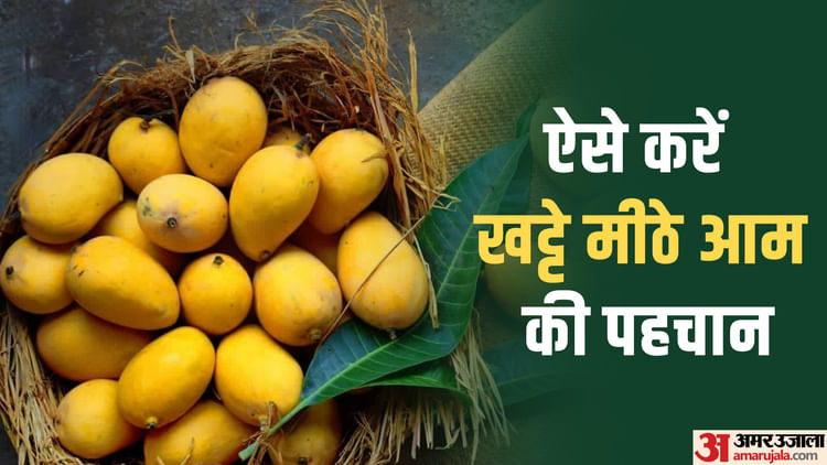 Mango Adulteration: How To Identify Sweet Mangoes Know The Method Here - Amar Ujala Hindi News ...