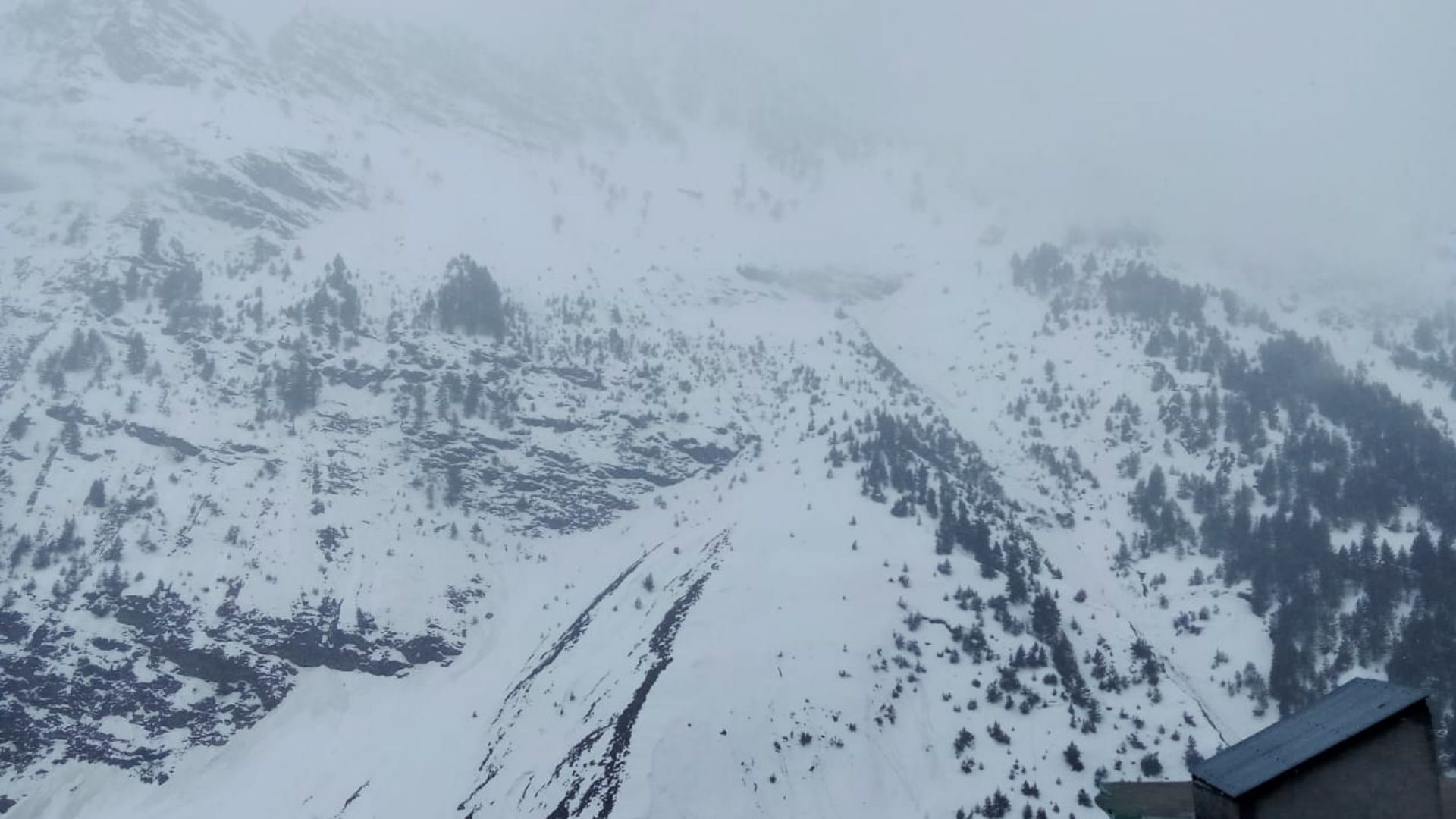 Himachal Weather Update Snowfall In Lahaul Rohtang And Rain In Shimla Kangra Bilaspur Amid ...